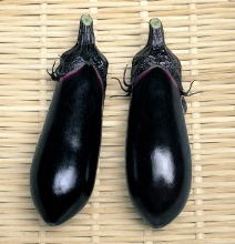 　　　　　【渡辺採種場】 【なす種子】 式部　小袋　　 &nbsp; 抜群の黒びかり！　ハウス栽培でも　果色あがりバッチリ!! 【主なご購入者】家庭菜園向け種子 &nbsp; &nbsp; &nbsp; &nbsp; &nbsp; &nbs...