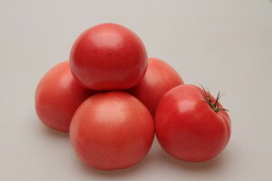 裂果に強い、食味良好な完熟タイプ トマト種子　カネコ種苗　TY秀福　100粒 プロ用・専門家向け種子 &nbsp; 【特長】 トマト黄化葉巻病（TYLCV）のイスラエル、イスラエルマイルド両系統に対し耐病性を有します。 平均一果重200g位...