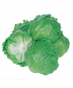 　【ご購入の皆様へ】 こちらの商品は、メーカー在庫の商品となります。 商品の発送は、通常、在庫がある場合、2〜3営業内での発送となります。 ご注文後にメーカーへ在庫確認・発注をいたします。 その為、納品までにお時間がかかる場合や商品品切れと...