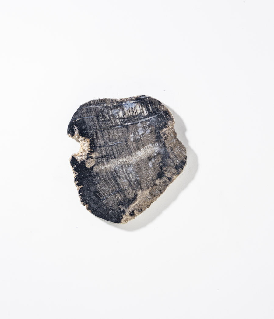 地中に埋もれた樹木が、膨大な年月をかけ地層からかかる圧力によって化石化したという珪化木(ペトリファイドウッド)を使用したコースター。大自然が産みだしたこの神秘的な形は、ひとつとして同じものはありません。 トレイなど様々な用途でお使いいただけ...