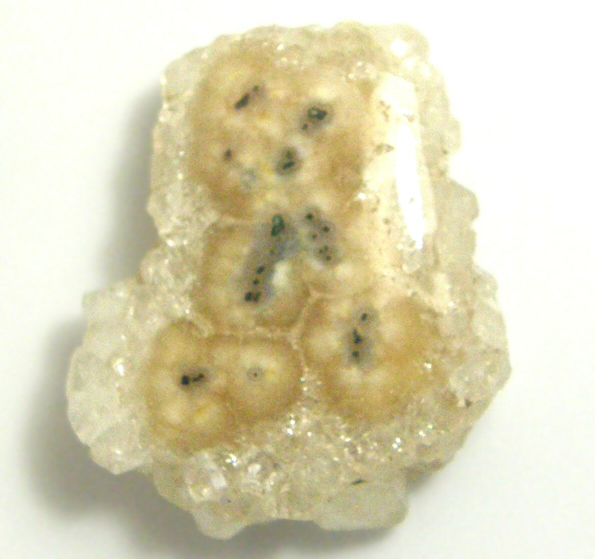 宝石名 天然　フォッシル　コーラル　クォーツ 産地 　・・・産 重さ 10グラム サイズ 32x28x8．6ミリ　 色 　ブラウン/ホワイト色 商品説明 　中央は珊瑚の化石周りはクォーツ「水晶」。 発送 簡易書留郵便も対応しています。重さに...