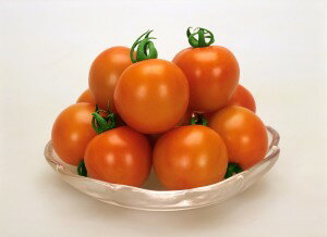 平均1果重は35〜40g位のオレンジ色に着色する中玉トマトです。草勢はやや強く、スタミナがあります。糖・酸のバランスが良く、食味は良好です。ToMV(Tm-2a）に安定した耐病性を有します。プロの生産者はもとより、直売所や家庭菜園向け品種と...