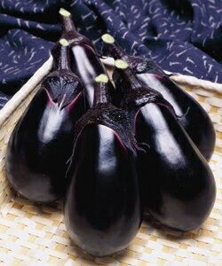 商品特徴 甘くて柔らかい！とげがほとんどない夏秋用水ナス●やや長めの丸形の水ナスで、果ぞろいがよい。果色は黒紫色でツヤがよく、花痕の大きさは中小。1果重80〜130g程度での収穫が適する。●食味はやわらかく甘みがあり、浅漬けやぬか漬けに適す...