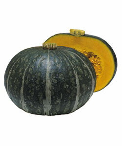 ●果重1.7から1.9kgで、果形は扁円球のなで肩。果皮は濃緑地に美しい淡緑色のちらし斑が入り、外観が美しい。 ●初果形が甲高扁円球で、濃緑地の果皮に入る淡緑のちらし斑がごく鮮明。果ぞろいがよく外観が美しい。●果重1.3から1.5kg。果肉...