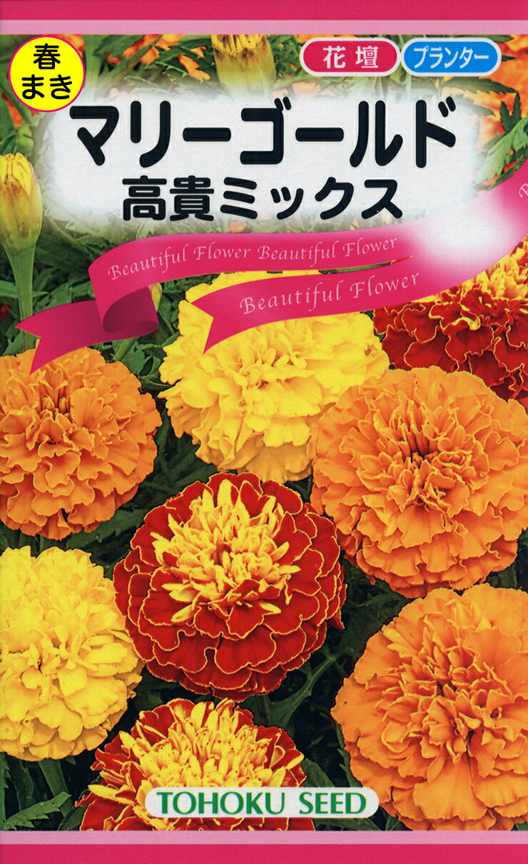 エレガントな色合いで存在感のある花をたくさん咲かせます 種苗会社 株式会社トーホク &nbsp;花の色 イエロー・レッド・オレンジ系 &nbsp;草丈 30〜40cm 発芽適温&nbsp; 15〜20℃&nbsp; 土かけの厚さ 5mm位 ...