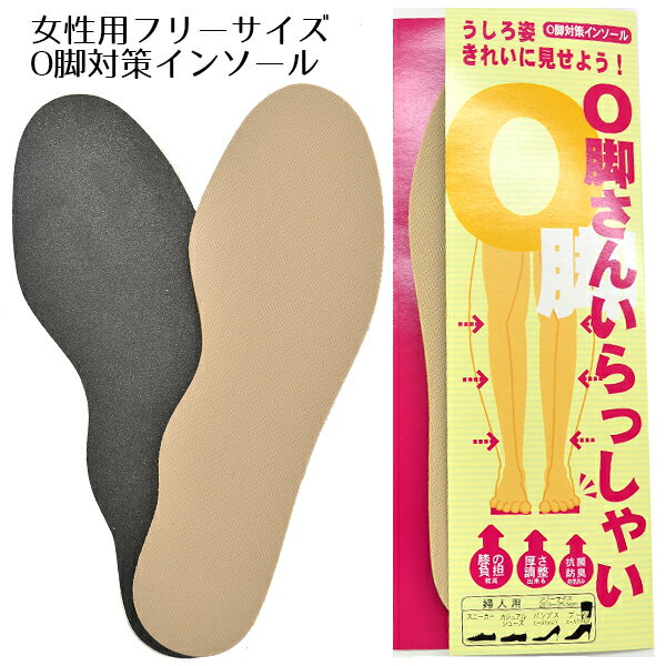 [品質表示] ポリエステル ウレタンスポンジ [特徴] 【効果1】O脚ケア 踵からつま先まで全面で足の外側を持ち上げる「全面ウエッジ形状」により、膝関節の角度を正常な状態にサポートし、膝への負担を軽減します。 【効果2】美脚効果 膝を内側に...