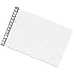 【商品説明】とじ穴部分のテープ補強と底部ローレット加工による耐久性の高いリーンフォースポケット採用。エンボス加工で、目にもやさしいクリアポケットです。。 ●サイズ：B6●E（ヨコ）型●中紙色：グレー●縦入れ●穴数：13穴（2穴共通）●外形寸...