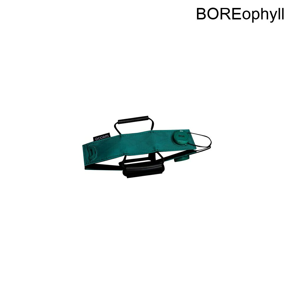 ■商品詳細■ブランドOccam Designsオッカム・デザイン■商品名Apex BOA Strapアペック ボア ストラップ■商品状態新品・並行輸入品■色BOREophyll■備考(取寄) オッカム・デザイン アペック ボア ストラップ ...