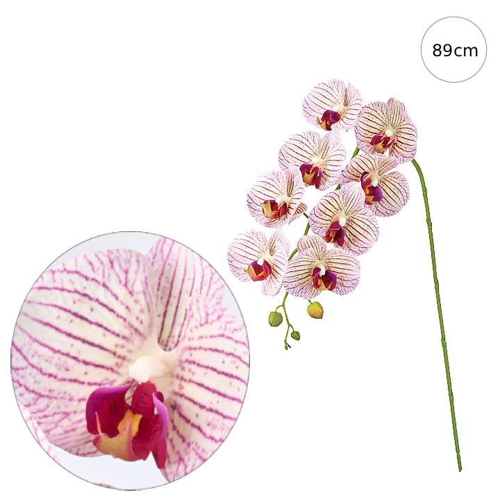 選べるこだわり。。。 ワンランク上のアレンジを楽しみたい方のために。。。 消臭・除菌効果を発揮してくれる無光触媒加工。 インテリアとして飾るだけでなく、お部屋の空気をリフレッシュしてくれます。 無光触媒加工って何？ 配送方法：メーカー直送 ...
