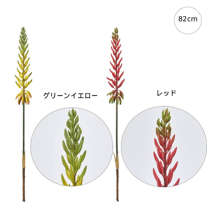 選べるこだわり。。。 ワンランク上のアレンジを楽しみたい方のために。。。 消臭・除菌効果を発揮してくれる無光触媒加工。 インテリアとして飾るだけでなく、お部屋の空気をリフレッシュしてくれます。 無光触媒加工って何？ 配送サイズ：小 出荷予定...