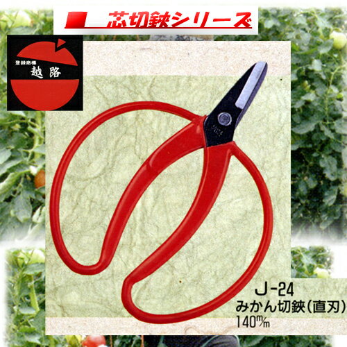 ◎刃物の町　新潟三条の園芸はさみです♪◎清水型みかん切鋏として開発されました♪ 【サイズ】140mm 【重量】約70g 【材質】炭素鋼 【生産地】新潟県三条市&nbsp; &nbsp;&nbsp; 農家の方から絶大なる信頼の越路ブランドをご...