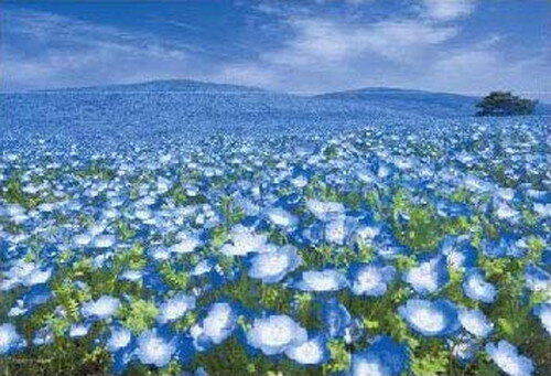 お支払い方法・送料・配送について予約販売商品についてジグソーパズル 300ピース 空つなぐ丘(茨城) 26x38cm 03-911風薫り、緑色づく初夏。四季の風情を感じる喜びをお届けします。■ピース数：300ピース■完成サイズ：26×38c...