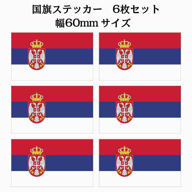サイズ：60x34mm 6枚セット 素材：塩ビ ※取付時、取付箇所をきれいに拭いてください。 ※きれいに貼り付ける方法は貼りつけ箇所に中性洗剤を入れた水を吹きかけ、直後素早くシールを貼り付け、ゴムベラを使ってシールとガラスの間の水抜きを行い...