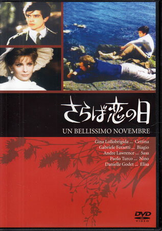 【ストーリー】年上の女性に憧れる青年期の心理を描いたドラマ。ニーノは、都会的に洗練された大人の魅力にあふれた叔母チェッティーナに恋をする。初めての恋に酔い、初めての性にとまどう。ニーノにとっては唯一の恋も叔母にとっては数ある浮気の一つにすぎ...