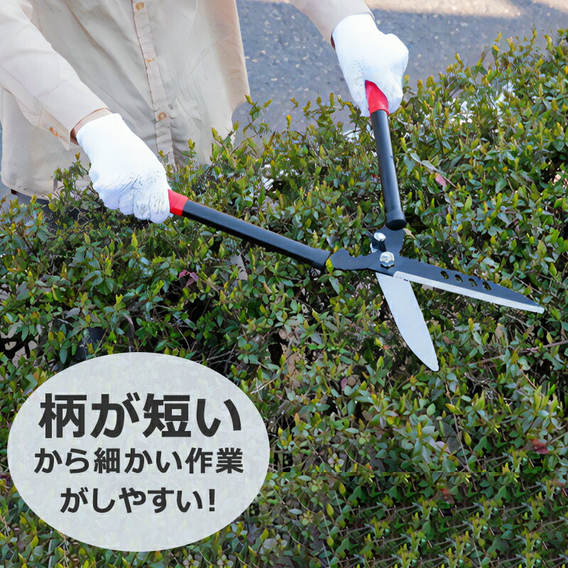 生垣や芝生の刈込に 柄が短いため細かい作業がしやすいです。 切断能力：約10mm 刃渡り：約185mm　ハンドル：約255mm 【商品詳細】 ●品番：SV-7787 ●JANコード：4989918507787 ●重量：約765g ●材質：刃...