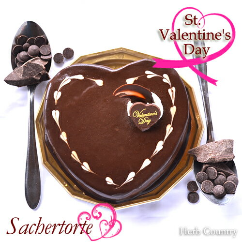 クーベルチュールのミルクチョコレートを贅沢に使用したプレミアムチョコアイスクリームにチョコスポンジとチョコ生クリームをサンド。 表面にはビターチョコが艶やかにグラサージュして、ちょっと大人のバレンタインアイスケーキはいかがでしょうか。 ◆サ...