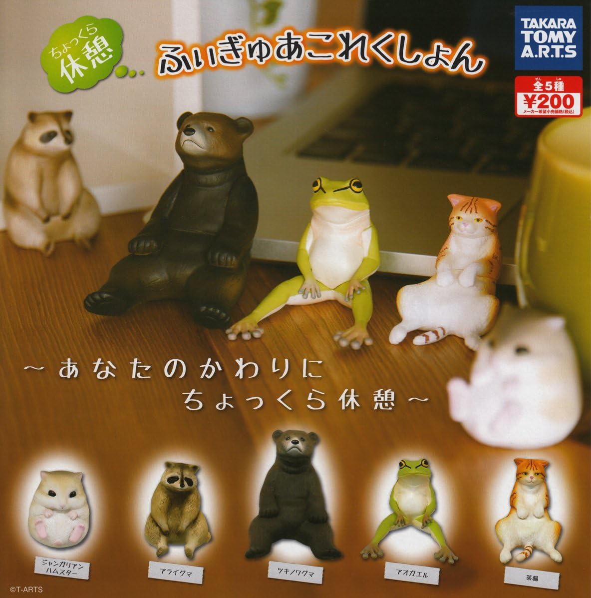 あなたの代わりにちょっくら休憩。。 うん、確かに癒されます。 ヨシ！がんばろっと( ˉ ˘ ˉ ) 【ラインナップ】 ・ジャンガリアンハムスター ・アライグマ ・ツキノワグマ ・アオガエル ・茶猫