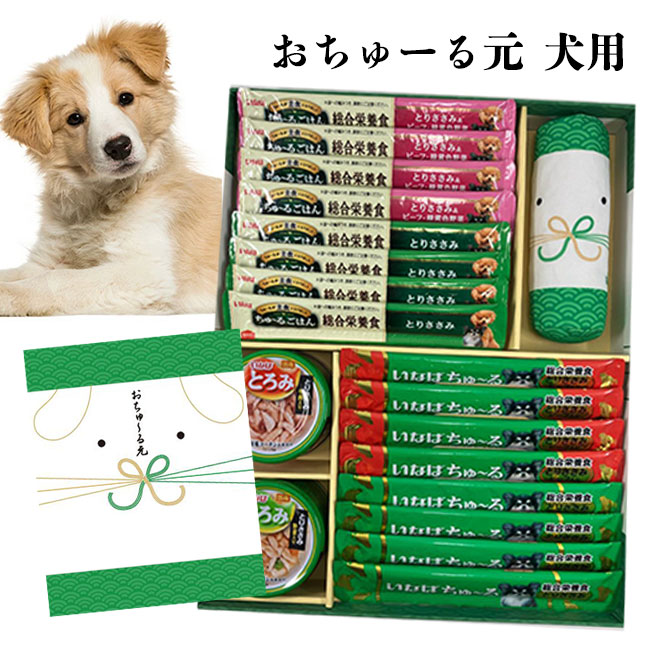 [いなば]おちゅーる元 ※賞味期限 2026年3月31日まで※ 全国の犬様 厳しい暑さの日々が続いておりますが、いかがお過ごしでしょうか？ 暑さで食欲が出なくなっていませんか？CIAOちゅ〜るは水分たっぷりのウェットフードだから、夏の水分補...