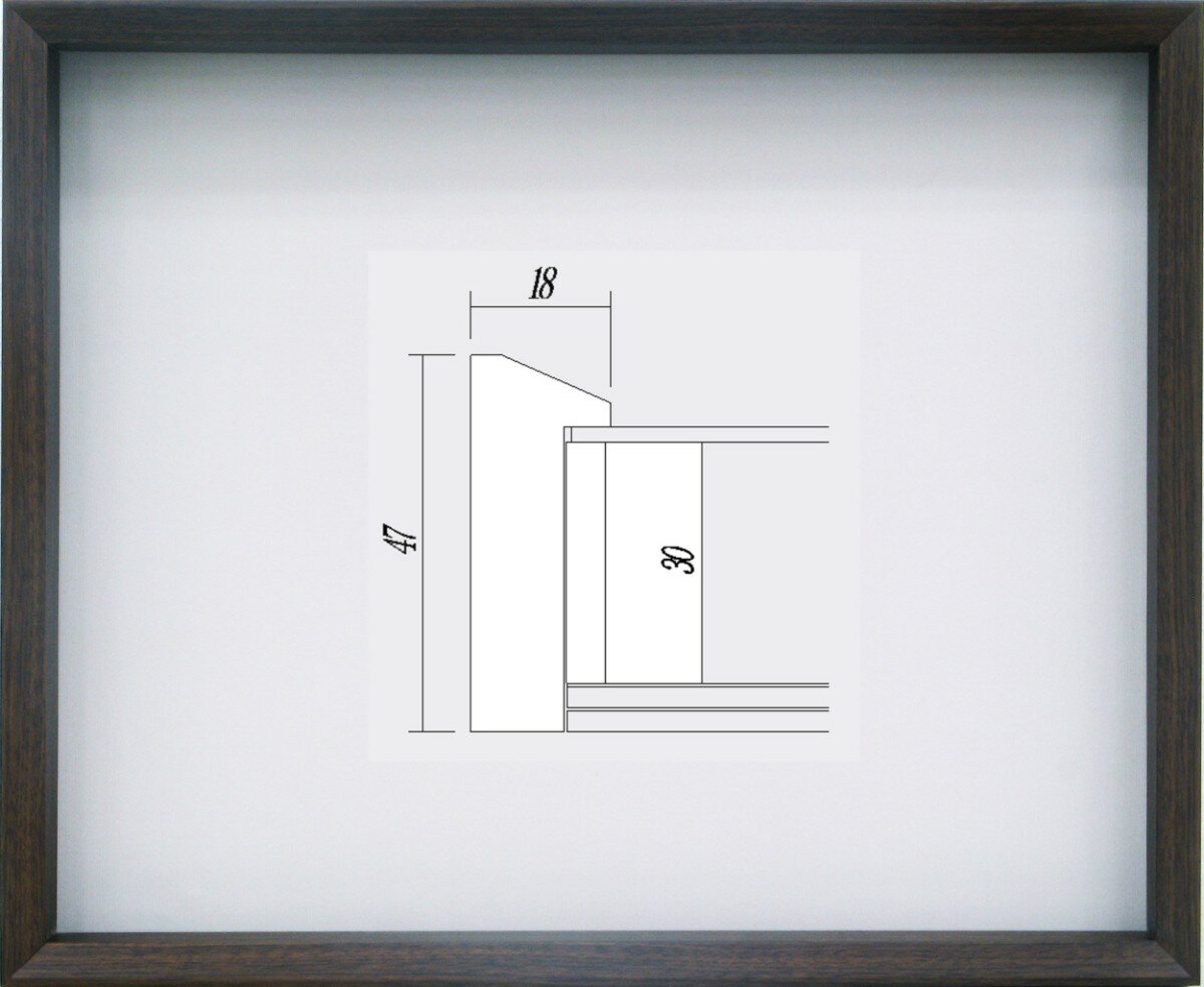 カタログ　パンフレット　リーフレット サイズ絵寸：約530X410mm用の額縁です。 材質木製 仕様本体・アクリル・吊金具・ケース付商品説明・受注生産品に付き、ご入金確認後発送に平日で約14日かかります。※壁面用取り付け金具は付属いたしませ...