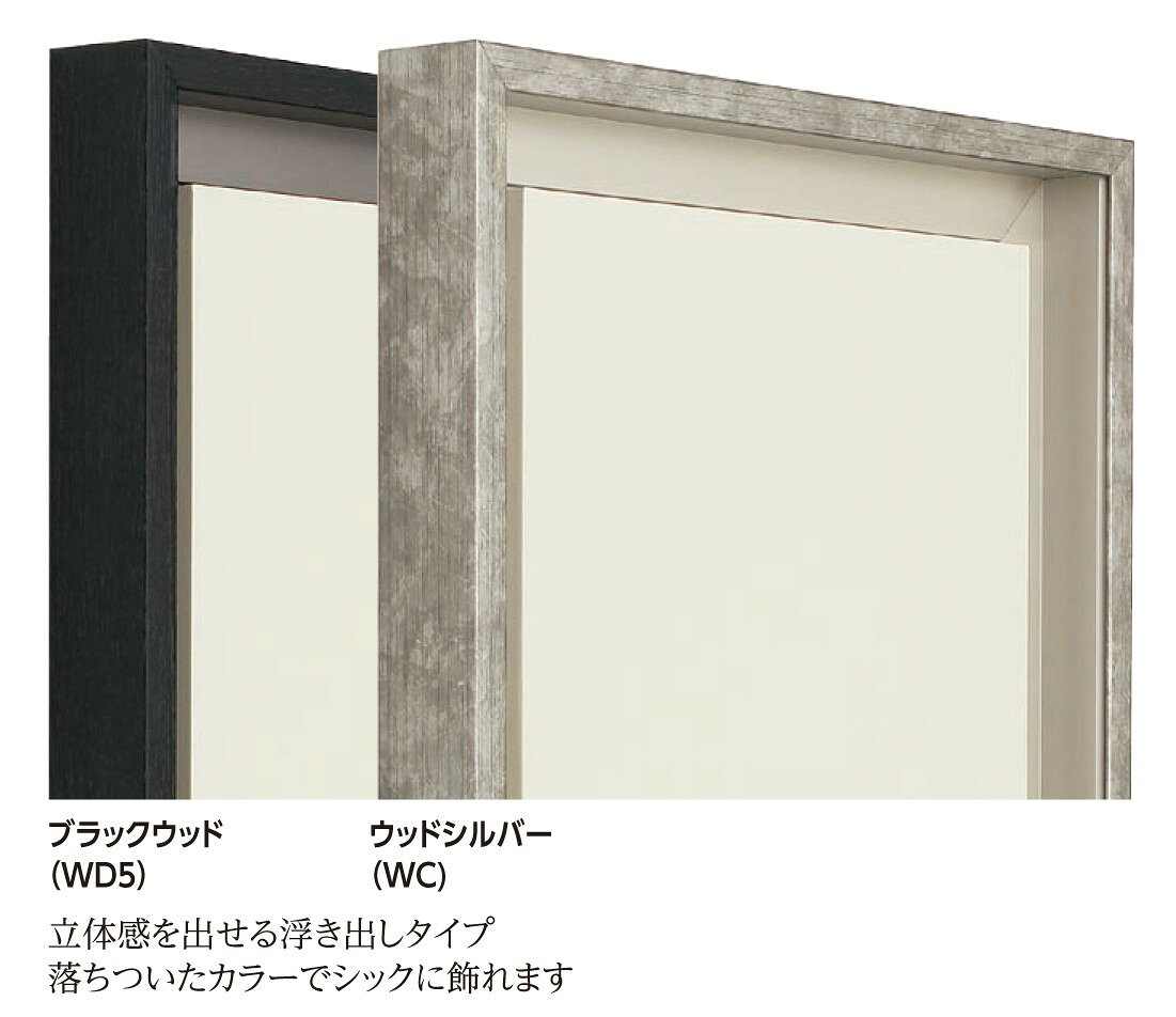 カタログ　パンフレット　リーフレットサイズ絵寸約1303X894mm 仕様 フレーム:アルミ 付属品 吊り金具 作品仮止め金具作品止めネジ コーナー金具 ※CX.D ラインオプション一覧の詳細はこちらをご覧ください。 商品説明 ・立体感を出...