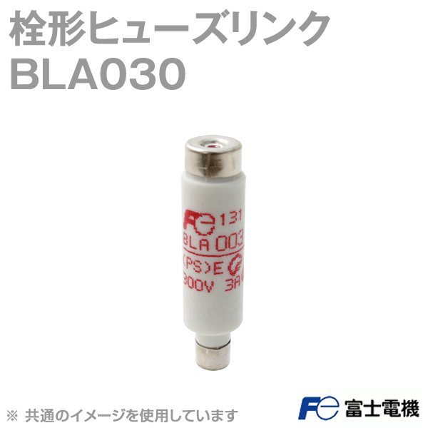定格 電流〔A〕 30 電圧[V〕 AC/DC600 遮断電流〔kA〕 100 ※許容I2t〔A2s〕 (0.01s以下)490 全遮断I2t〔A2s〕 5× 10 ※　放熱を無視できる領域での計算値です。