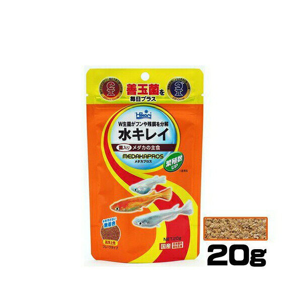 ▼まとめ買いがおすすめ！ 3個セット（限定） 6個セット（人気） ●W生菌がフンや残餌を分解して水キレイ！・ブランド：Hikari(ヒカリ)●2種類の生菌がフンや残餌を分解してくれる、フレークタイプのメダカ用フードです。旨みを追求し、嗜好性...