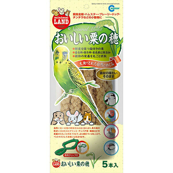▼まとめ買いがおすすめ！ 3個セット（爆安） 6個セット（必見） 10個セット（激安） ●おいしく健康になる自然の粟の穂。専用クリップ付きで簡単にケージに取り付けられます。●殻付きの粟なので鮮度を長く保ちます。大地から刈り取った自然そのまま...