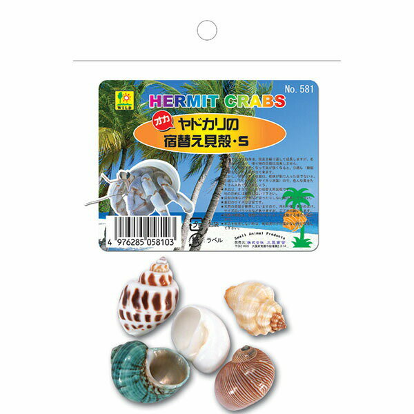 ▼まとめ買いがおすすめ！ 3個セット（特売） 6個セット（人気） 12個セット（激安） ●オカヤドカリの宿替えに最適な替え貝殻。●様々な形や色の貝殻が含まれており、オカヤドカリが選ぶ楽しみを提供。●ケースの中のオブジェやエサ入れとしても利用...
