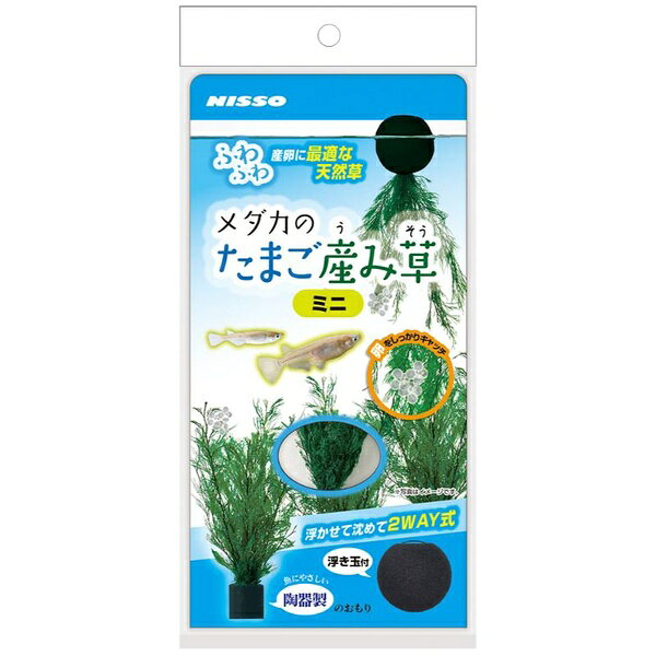天然の水草で卵をしっかりキャッチ！・材質：シダ、セラミック