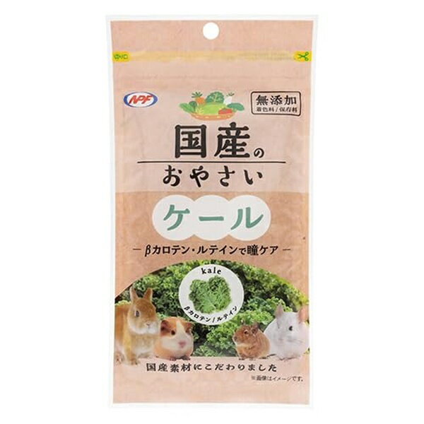 ●小動物のために国産素材にこだわったおいしいおやさいをセレクトしました。自然の恵みをそのままに素材本来のおいしさと栄養で健やかな毎日を♪栄養豊富な国産ケールをそのまま乾燥。Βカロテン・ルテインで瞳ケア♪素材そのものの自然な風味をしっかり感じ...