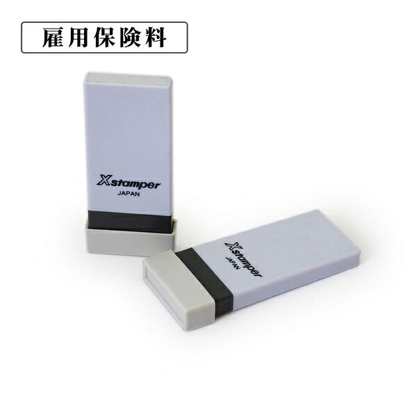 ●探しやすく、使いやすい科目別色分スタンパー全5色340種書体は明朝体です。・印面サイズ：4×21mm・補充インキ：XLR-20N黒
