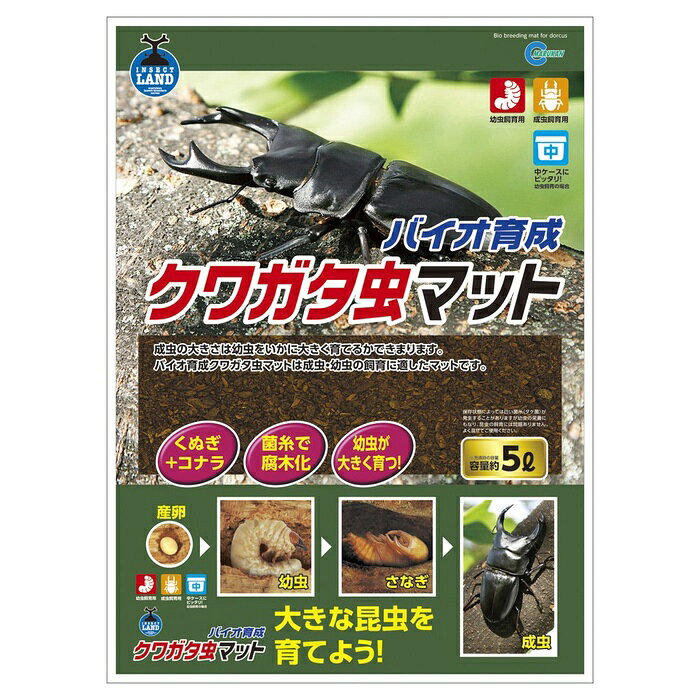 クワガタムシの幼虫を大きく育てるための昆虫マット。クヌギとコナラを粉砕し、菌糸で腐木化したものです。【特徴】●クヌギとコナラの広葉樹を使用している●菌糸の力でエサの栄養を効率よく吸収できる【仕様】対象動物クワガタムシ幼虫内容量5L原材料クヌ...