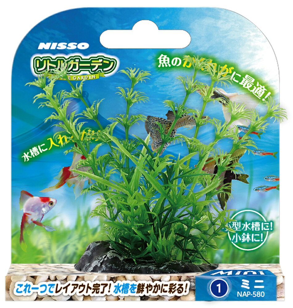 小型水槽に入れるだけで手軽に水草レイアウトが楽しめる人工水草です。【特徴】●淡水・海水両用で使用できる●小魚や稚魚の隠れ家に適している●水で軽くすすいでからご使用ください【仕様】材質PE、レジンサイズ幅68mm×奥行50mm×高さ110mm...