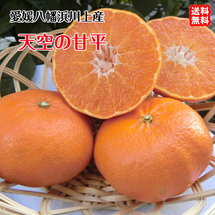 商品情報商品甘平（かんぺい）家庭用2kg ( 6～12個入り )3kg ( 10～18個入り )5kg (16～30個入り )産地愛媛八幡浜川上産みかんの里の愛媛の海と空を望む天空の農地で大正時代から100年以上代々続く農地で育ったみかんで...