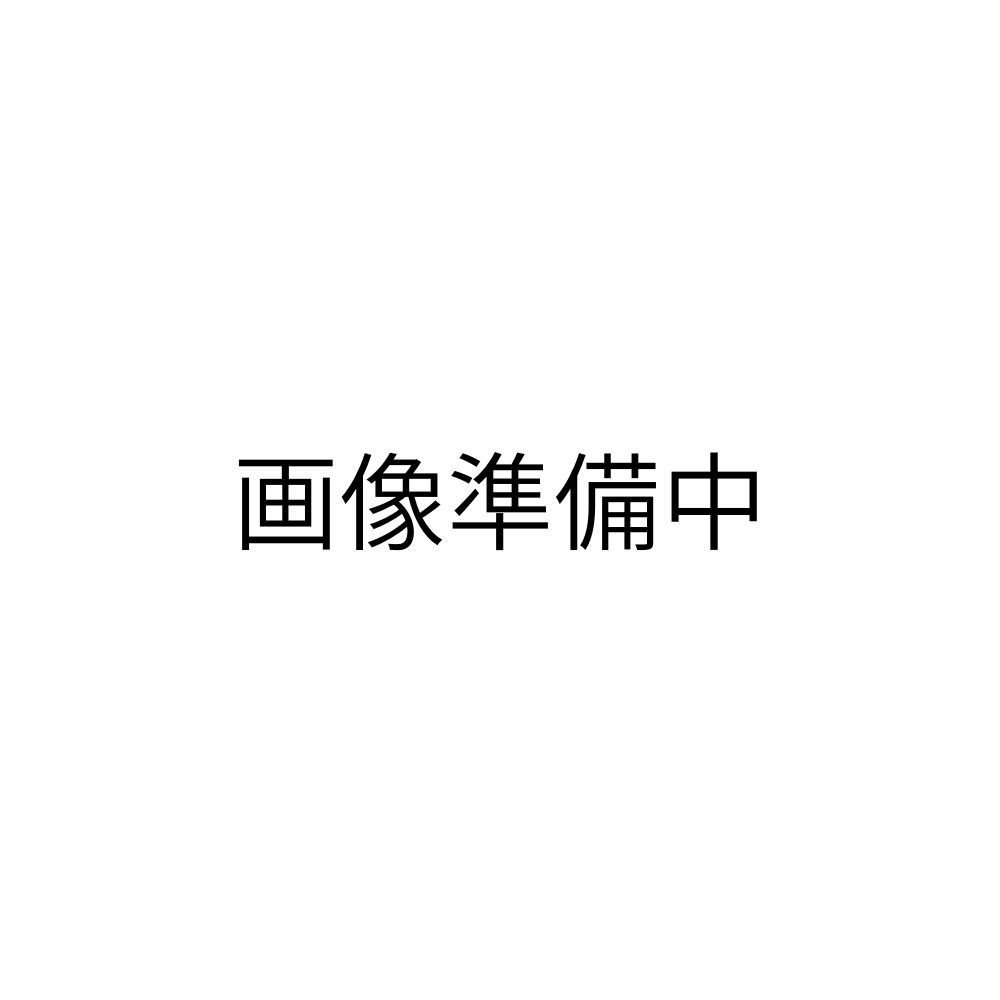 6935670509307【購入前のご注意】 ※独自保証対象品を除き、初期不良・不具合につきましては全てメーカー対応となります。弊社での返品・交換・修理依頼等はお受けできません。 ※複数サイトにて在庫を共有しているため、ご注文のタイミングに...