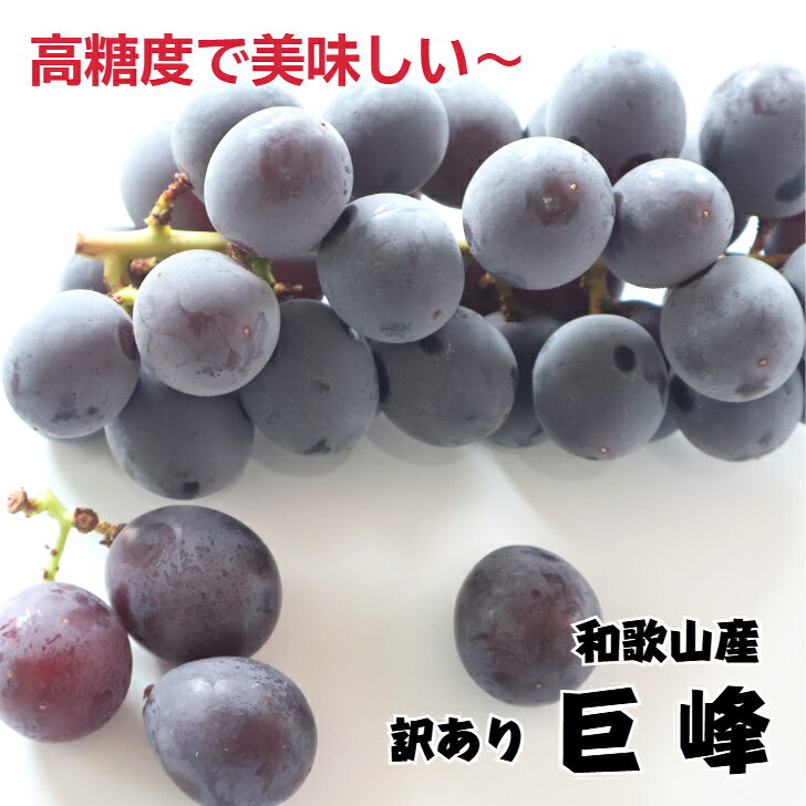 訳あり 和歌山の糖度20度の甘〜い巨峰 2.8kg 送料無料 ぶどう/葡萄/ブドウ 5