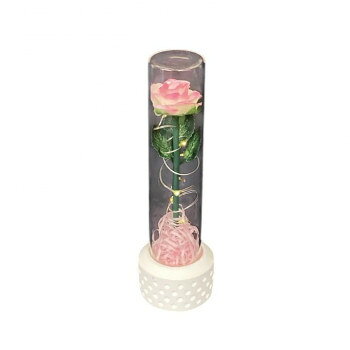 ぬくもりを感じるやさしい色のLEDライトを採用。ガラスに閉じこめた造花をより華やかに演出します。※テスト用電池が付属していますが、動作確認をするためのものであり、できるだけ早く新品の電池と交換して頂くようお願いします。※ガラス製品ですので、...