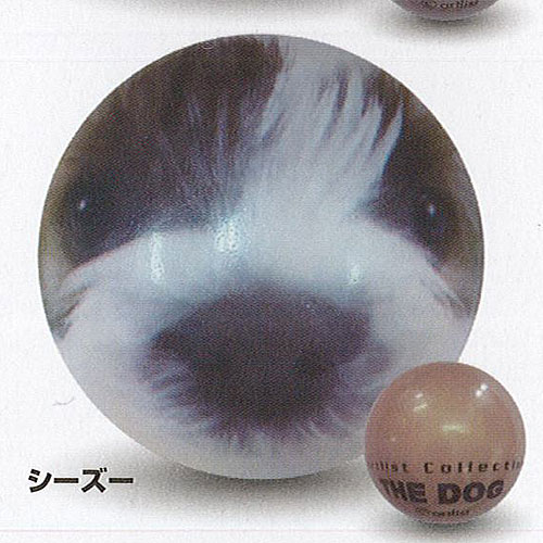 ■かわいいわんちゃんの顔がボールになりました!!IP4 200円カプセル自販機商品の単品販売です。THE DOG まん丸 FACE ボール より【シーズー】です。■サイズ：約6cm■新品、カプセルの状態で発送いたします。　付属のミニブック（...