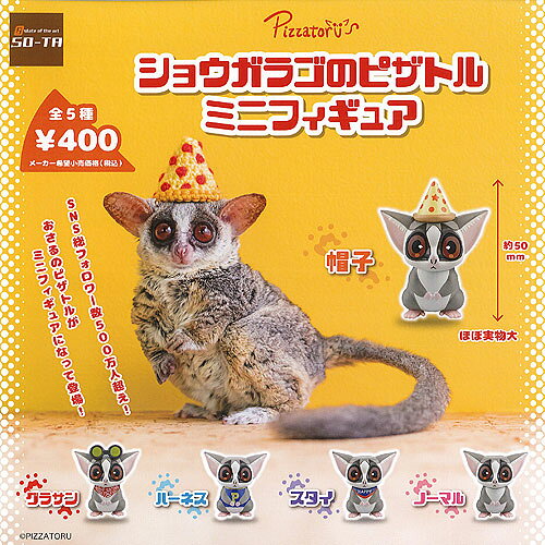 SO-TA 400円カプセル自販機商品のフルコンプです。【ショウガラゴ の ピザトル ミニ フィギュア 全5種+ディスプレイ台紙セット】★ラインナップの種類は以下となります。 　1：帽子 　2：グラサン 　3：ハーネス 　4：スタイ 　5：...