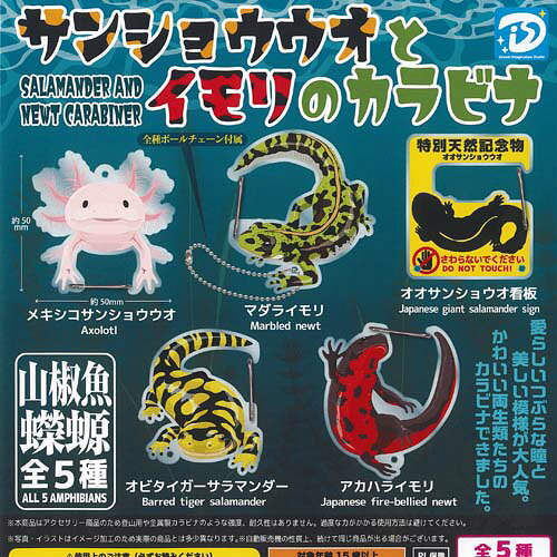 ディーアイエス 400円カプセル自販機商品のフルコンプです。【サンショウウオ と イモリ の カラビナ 全5種+ディスプレイ台紙セット】★ラインナップの種類は以下となります。 　1：メキシコサンショウウオ 　2：マダライモリ 　3：オオサン...