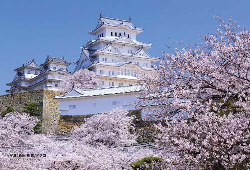 やのまん(Yanoman) 【日本製】 70ピース ジグソーパズル プリズムアートプチ 桜香しい姫路城 (10x14.7cm) 97-310 ピース請求はがき付き透明ピースパズル/70ピース完成サイズ：10×14.7cm (ポストカードサイ...