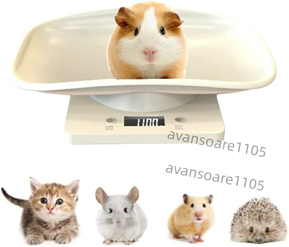 仕様： 素材：ABS サイズ：293x206x58mm 重さ：512g 最大容量：10 KG 電源：2 x AAAバッテリー（別売） パッケージが含まれています：1 *ペットスケール 注： 手作業による測定が異なるため、わずかな寸法差を許し...