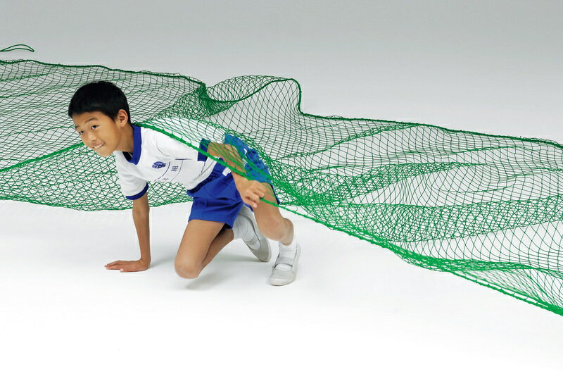 ●緑●サイズ：3x5m●重さ：2.8kg●素材：ポリエチレン440T/44本(3.75cm目)メーカー名: トーエイライトブランド: TOEI LIGHT品番: B2526品名: 障害物ネットJANコード: 4518891084574中分類...
