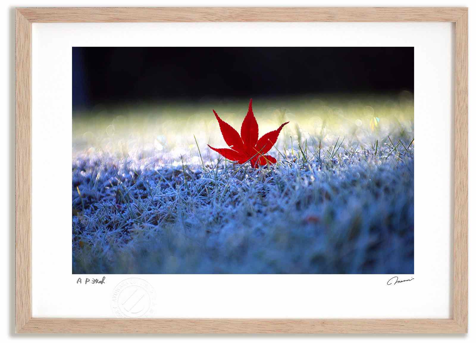 【商品の説明】澄み渡った白、柔らかな緑。北海道の光景を撮影し続けている風景写真家・高橋真澄のオリジナルプリントです。高橋真澄のサイン入り、ロット番号入りでの販売となります。店主の榎本高行です。自分の撮った写真を額装して販売をはじめたのが20...