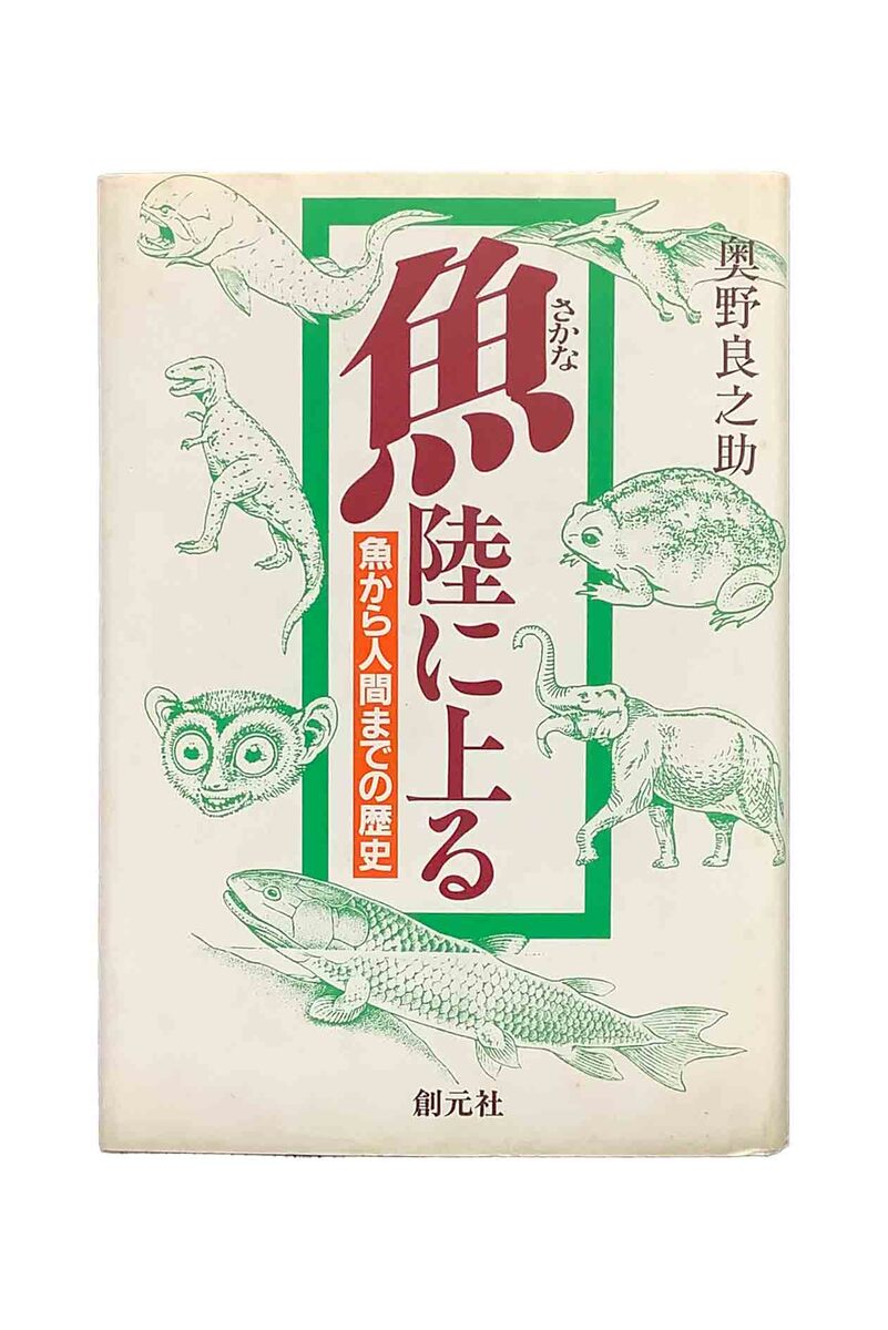商品情報在庫について当店の商品は、複数の店舗やサイトで同時に販売しております。一点物の商品も多いため、ご注文のタイミングによっては完売・欠品となる場合がございます。在庫状況はリアルタイムで更新しておりますが、万が一ご用意できない場合は、速や...