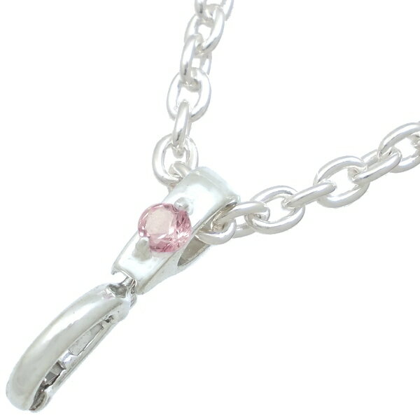 ■ノンブランド 【 ペンダント ネックレス 】 └【タイプ】 シルバー925 ギフト リングクリッカー アジャスター 誕生石 ガーネット アメシスト アクアマリン ダイヤモンド エメラルド ムーンストーン ルビー サファイア ペリドット ト...