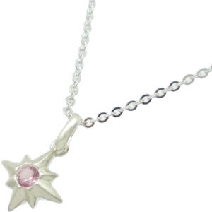 ■ノンブランド 【 ペンダント ネックレス 】 └【タイプ】 シルバー925 ギフト 誕生石 ガーネット アメシスト アクアマリン ダイヤモンド エメラルド ムーンストーン ルビー サファイア ペリドット トルマリン 百寿 ローズクォーツ ...