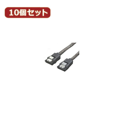 SATA6Gbケーブル　I-Iロック付 70