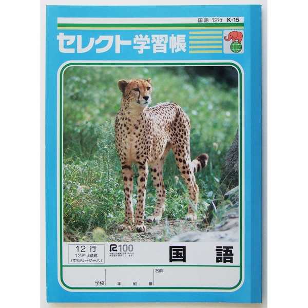 学習帳です。国語の学習に適した12行12mm縦罫の学習帳です。中心リーダー入りでバランスよく文字が書けます。※リニューアルにより写真以外のパッケージやデザイン、色、サイズ、種類、成分になる場合有り※写真以外の種類になる場合有り●サイズ(約)...