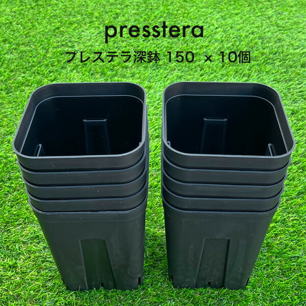スクエア型が使いやすい、高級感のある硬質素材のプラスチック鉢です。鉢底は8箇所のスリットが入っており、水捌け良好で根腐れしにくいポットです。【商品名】プレステラ深鉢150【内容】10鉢セット【サイズ】121 x 121 x h150 mm　...